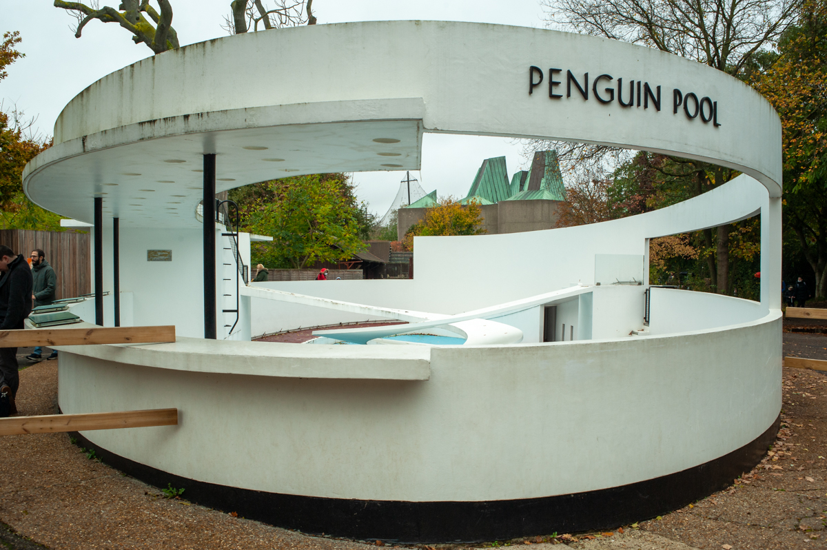 The Penguin Pool, London Zoo